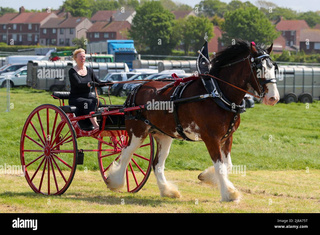 Ayr, UK. 14th May, 2022. After a gap of 2 years because of Covid ...
