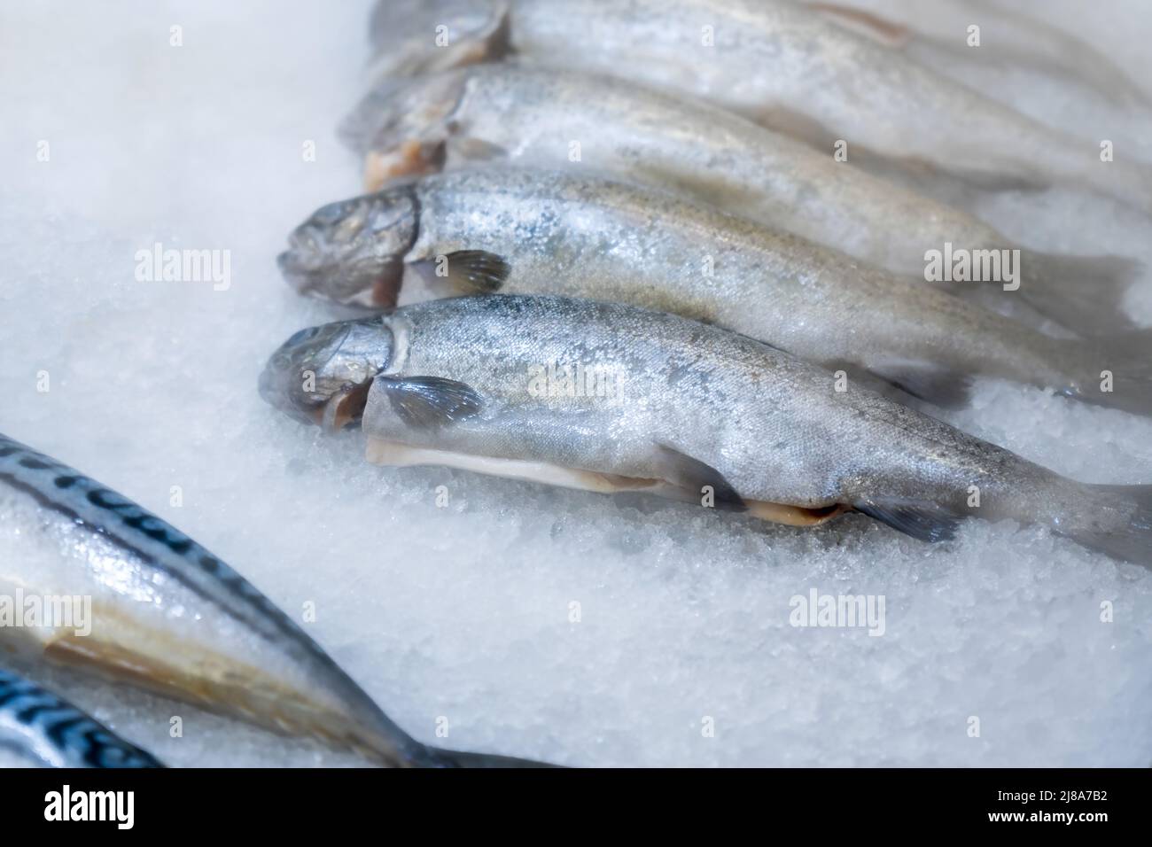 Supermarket shelves fresh fish hi-res stock photography and images - Alamy