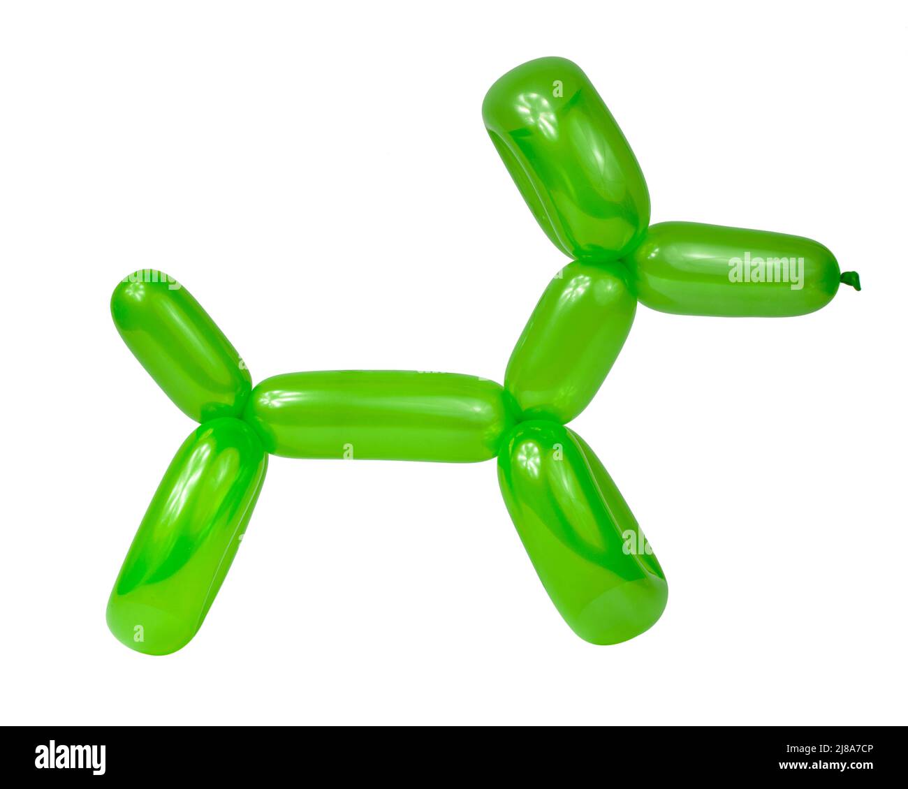Green balloon dog model party fun isolated on the white background ...