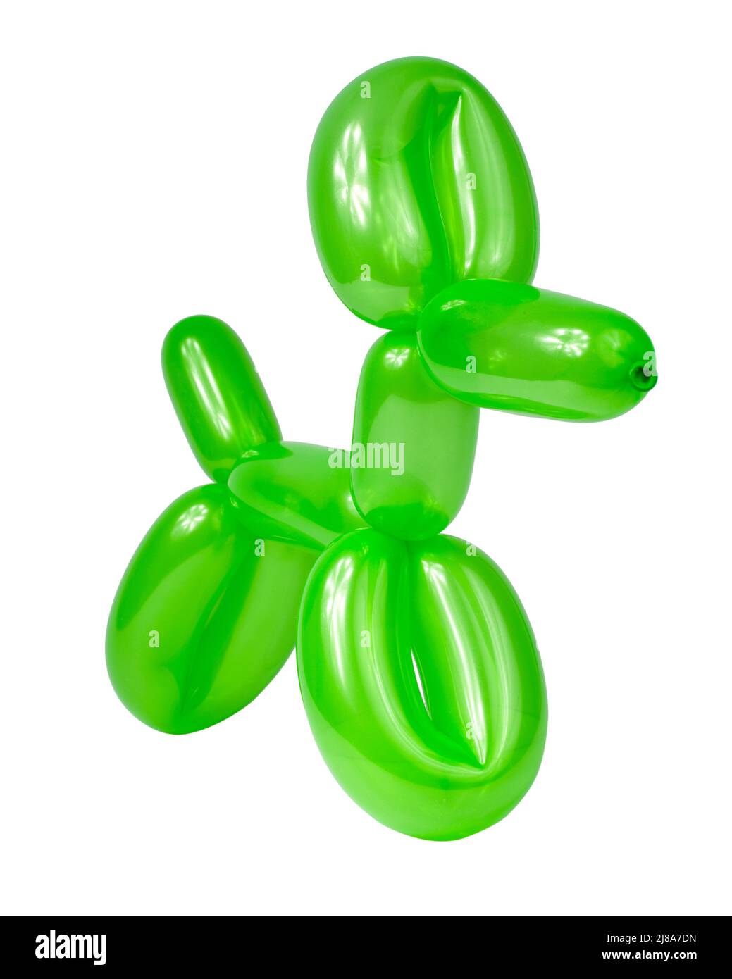 Green balloon dog model party fun isolated on the white background ...