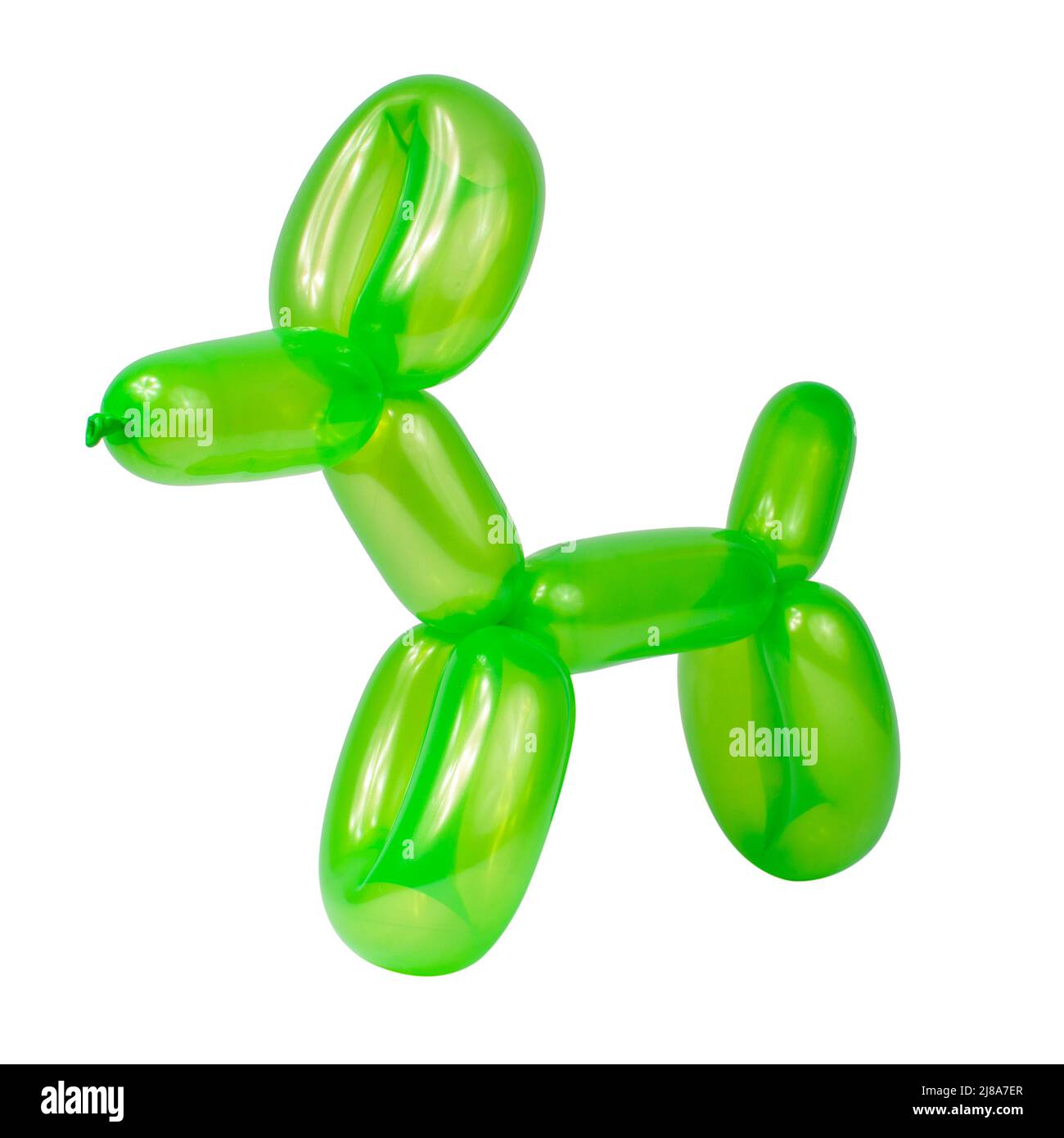 Green balloon dog model party fun isolated on the white background ...