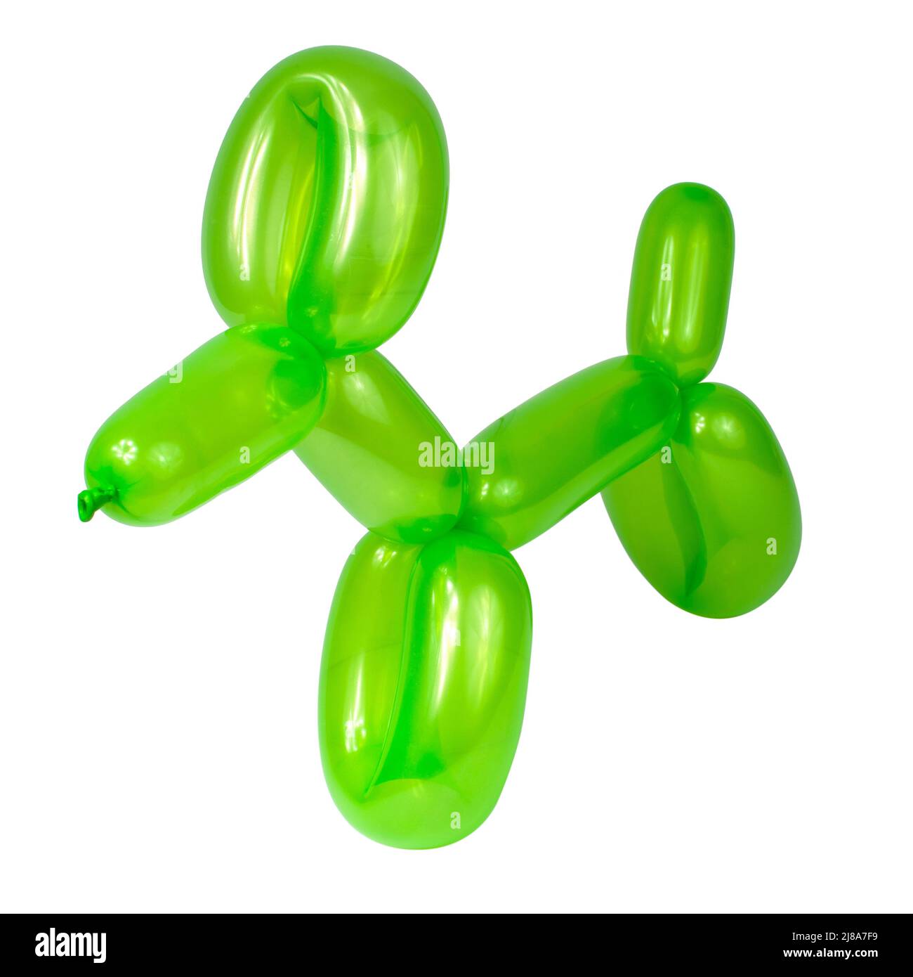 Green balloon dog model party fun isolated on the white background ...