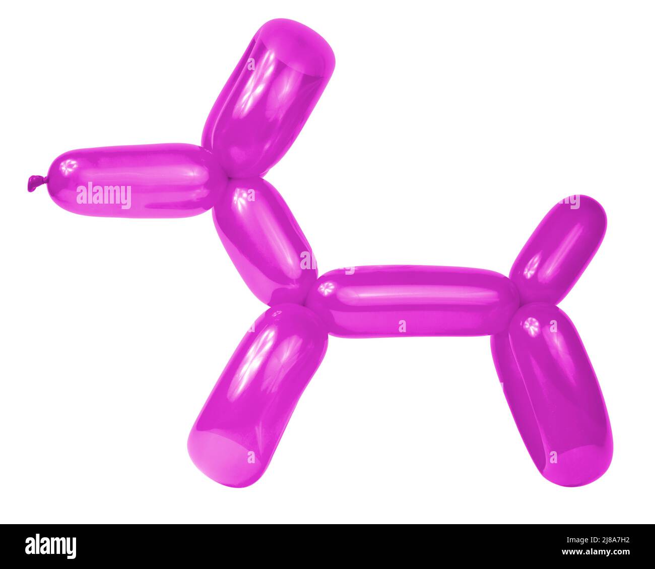 Purple balloon dog model party fun isolated on the white background ...