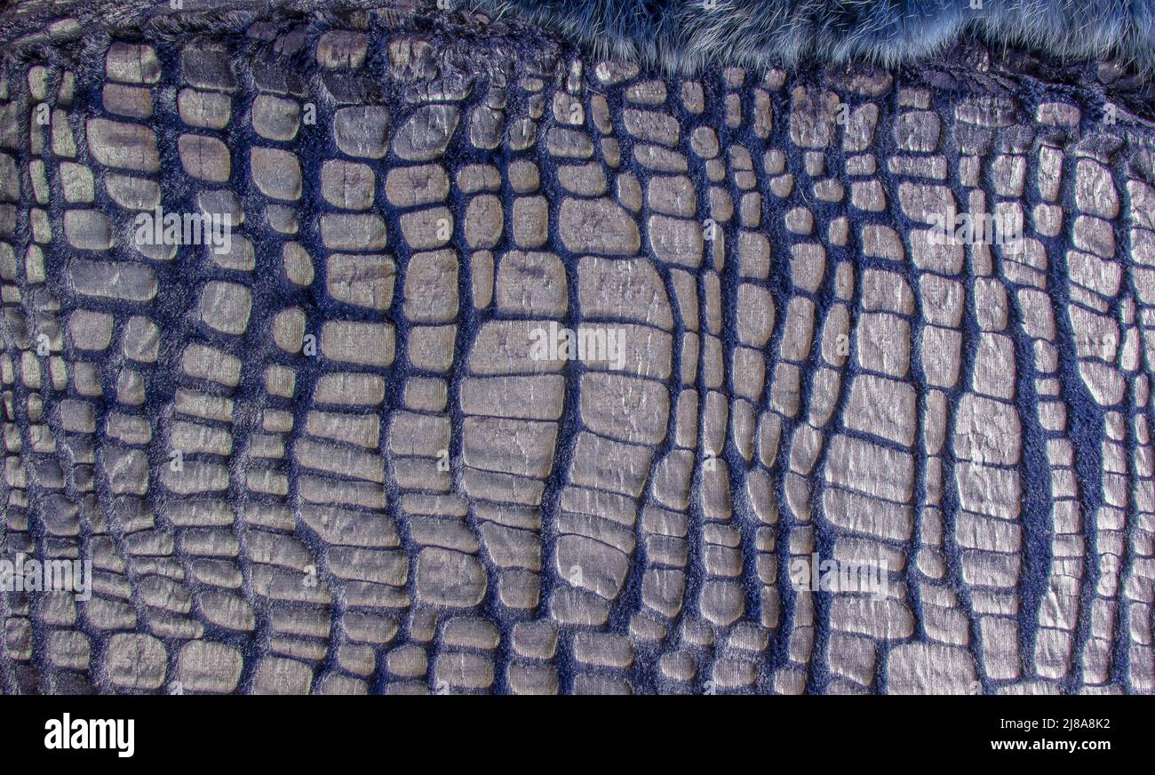 Fur texture top view. Blue fur background. Fur pattern. Texture of dark ...