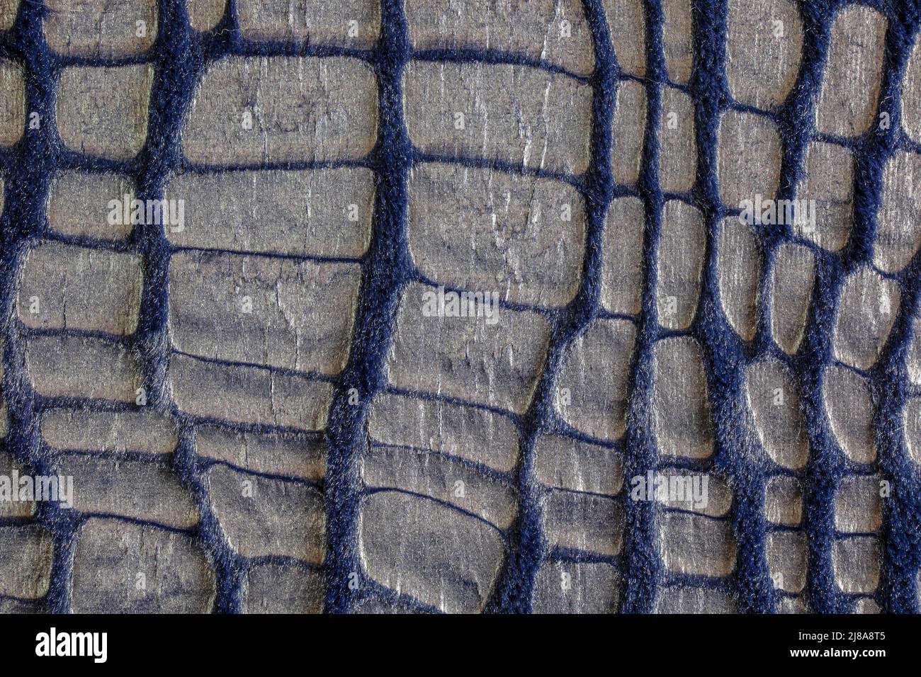 Fur texture top view. Blue fur background. Fur pattern. Texture of dark ...
