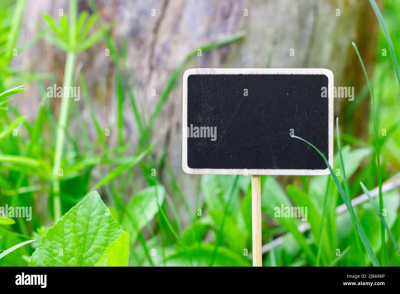 Blank information board. Empty pointer. Rectangular label Stock Photo ...