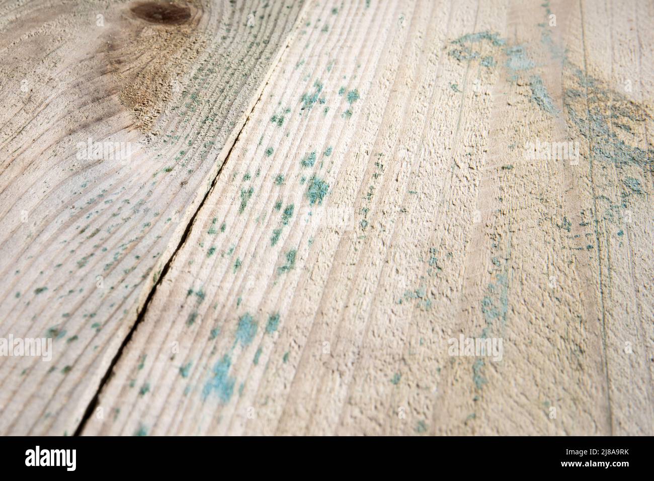 Wood texture surface with green mouldy spots Stock Photo - Alamy
