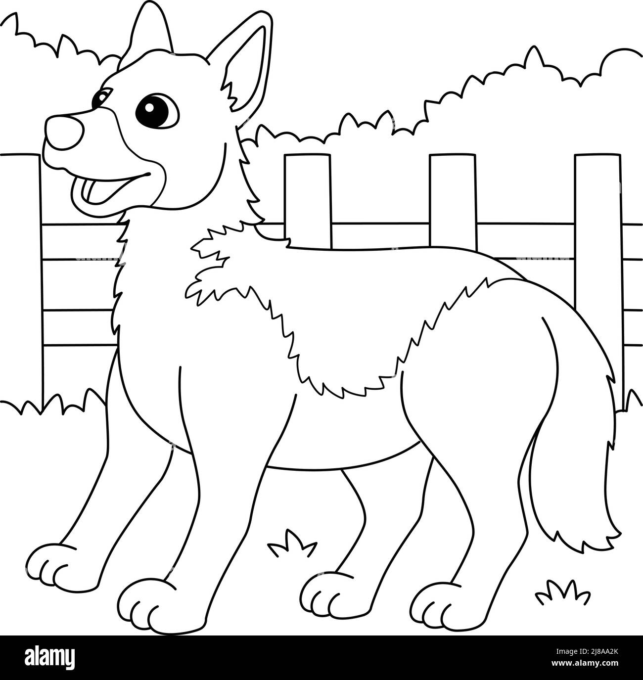 German shepherd alsatian black Black and White Stock Photos & Images ...