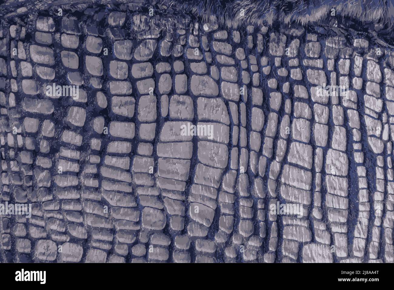 Realistic illustration of fur texture top view. Blue fur background ...