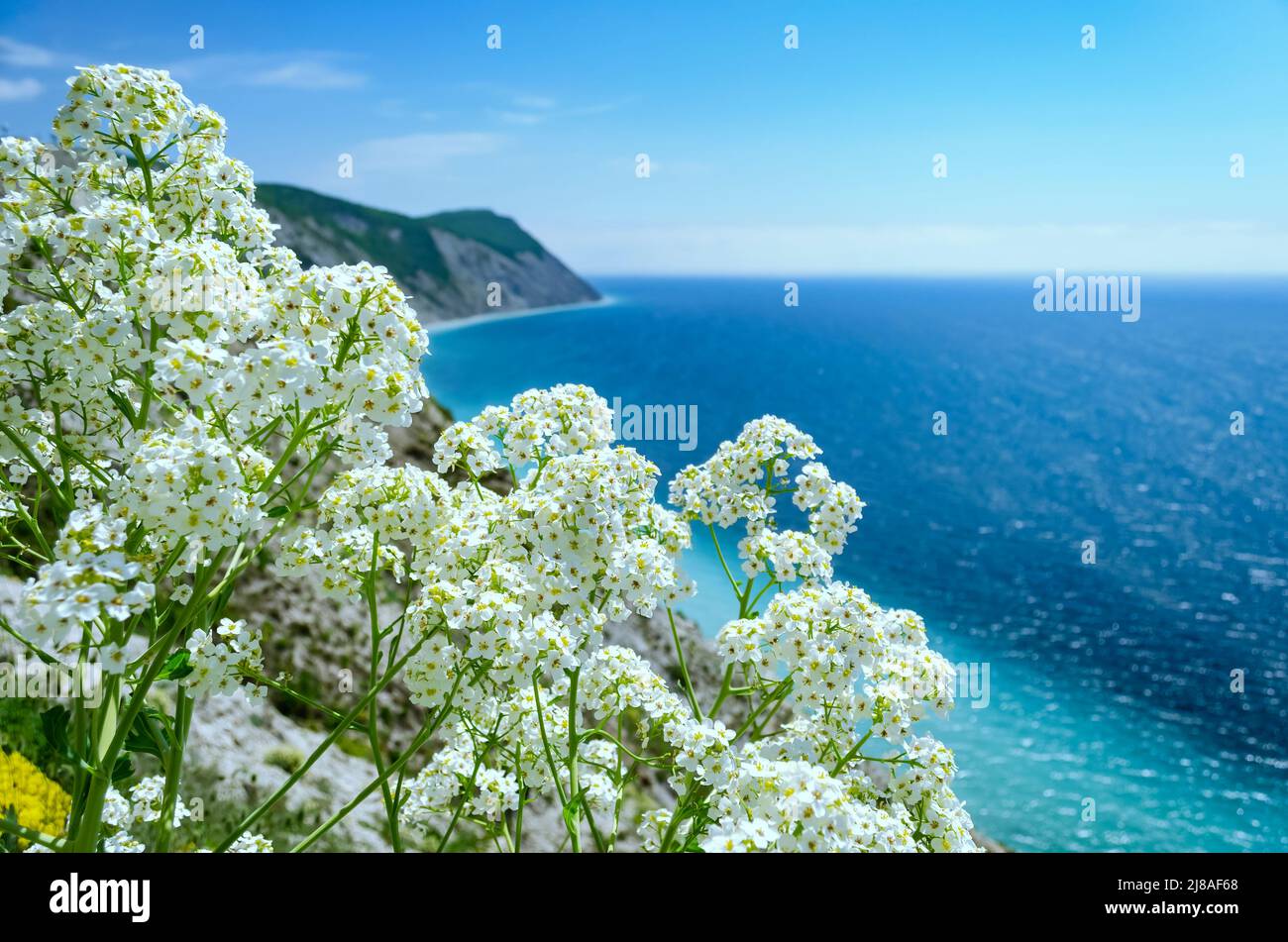 Krasnodarskiy kray hi-res stock photography and images - Alamy