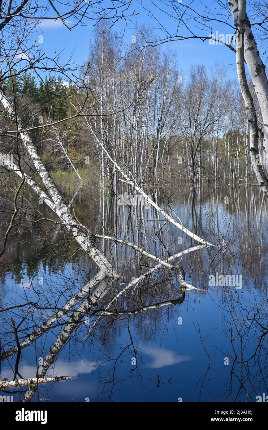 The national spring clean hi-res stock photography and images - Alamy