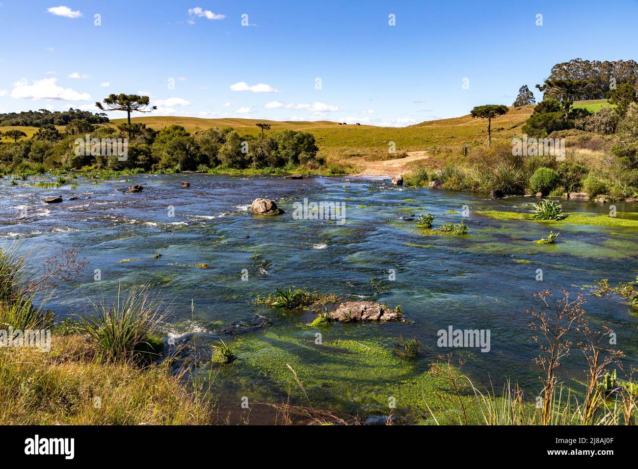 River, dirty road in farm field and forest, Cambara do Sul, Rio Grande ...