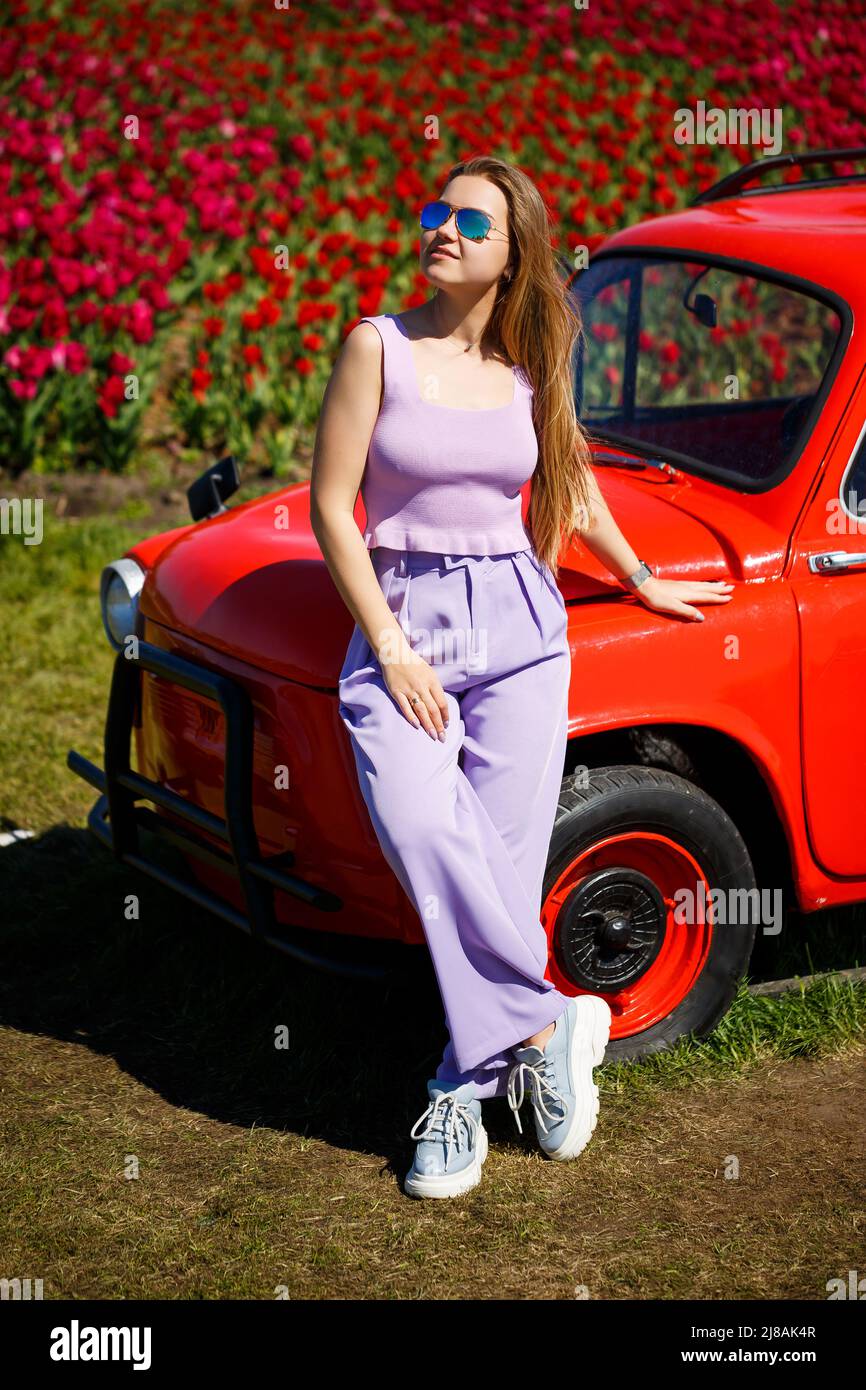 A girl model in casual clothes sits on a red car among tulip fields ...