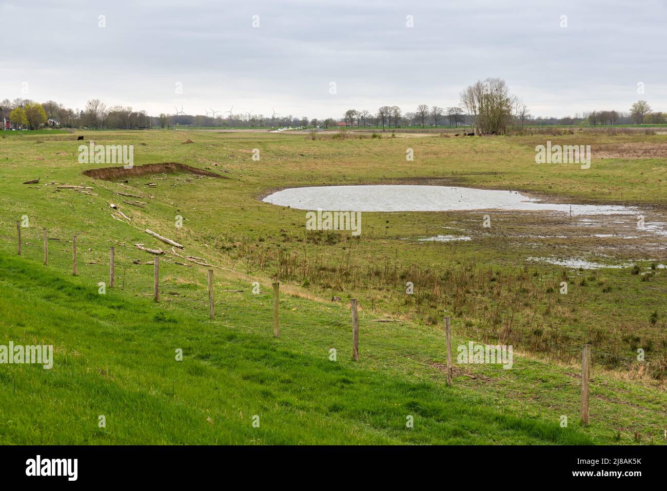 Green farmland and wetland at the Dutch countryside around Echt, The ...