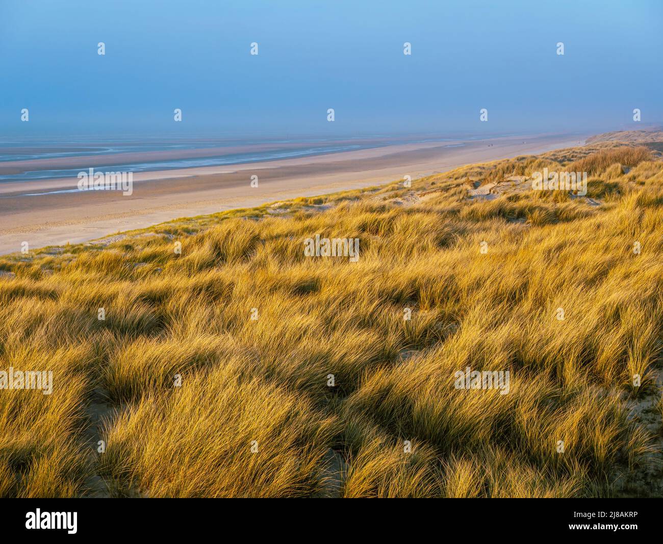 Seaside windswept hi-res stock photography and images - Alamy