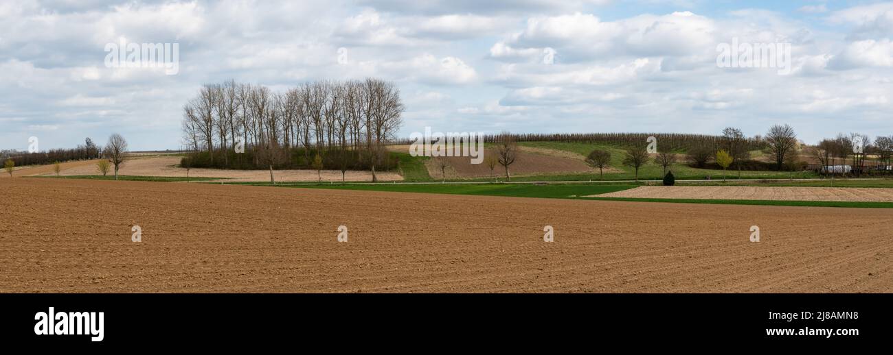 Extra Large panoramic view of agriculture fields at the Flemish ...