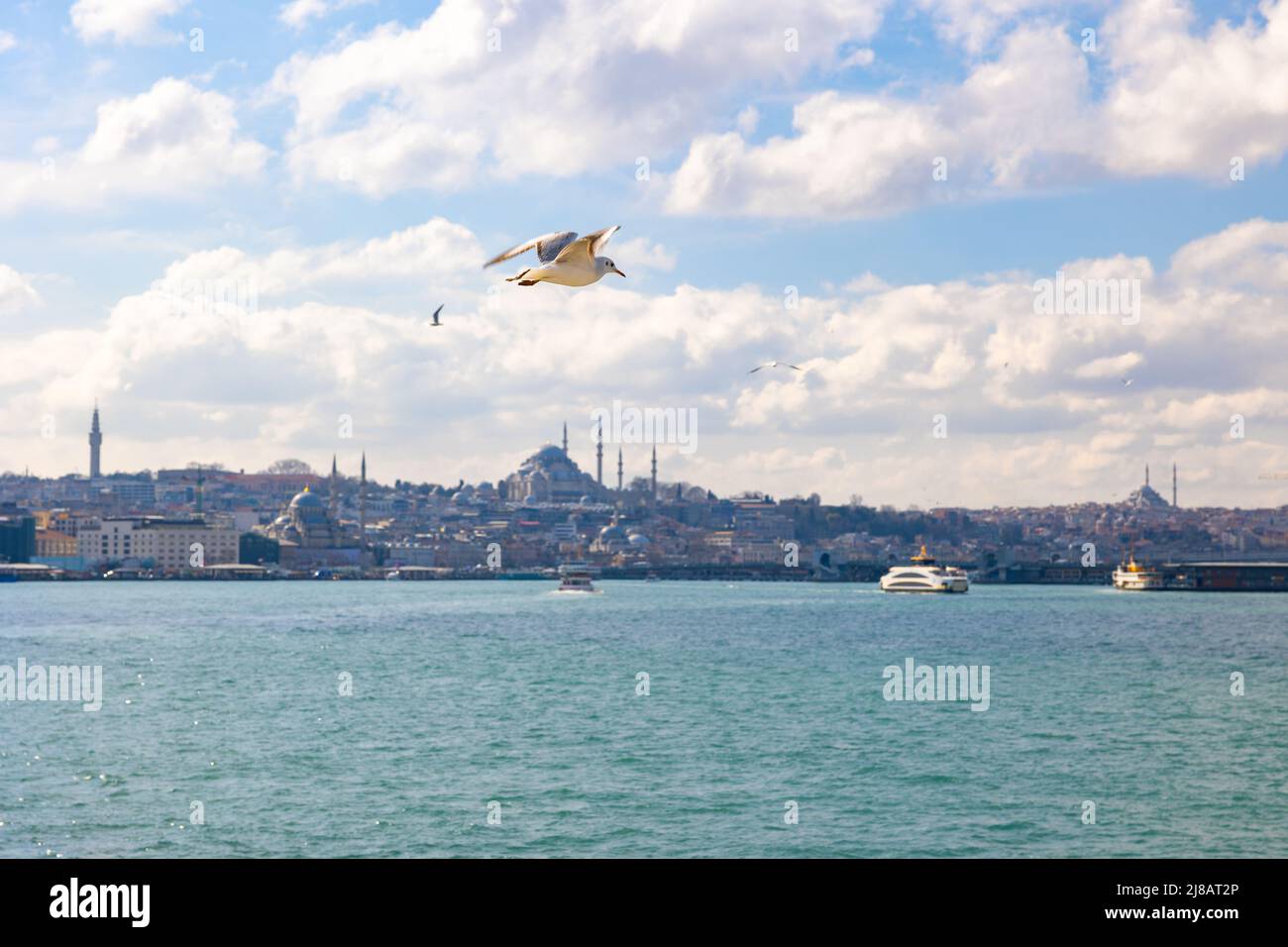 Istanbul view. Seagull and cityscape of Istanbul with cloudy sky ...