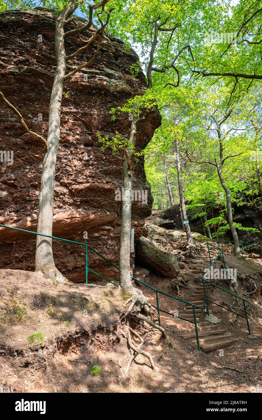 Tall rock in a forest, used for climbing, also known as "via ferrata ...