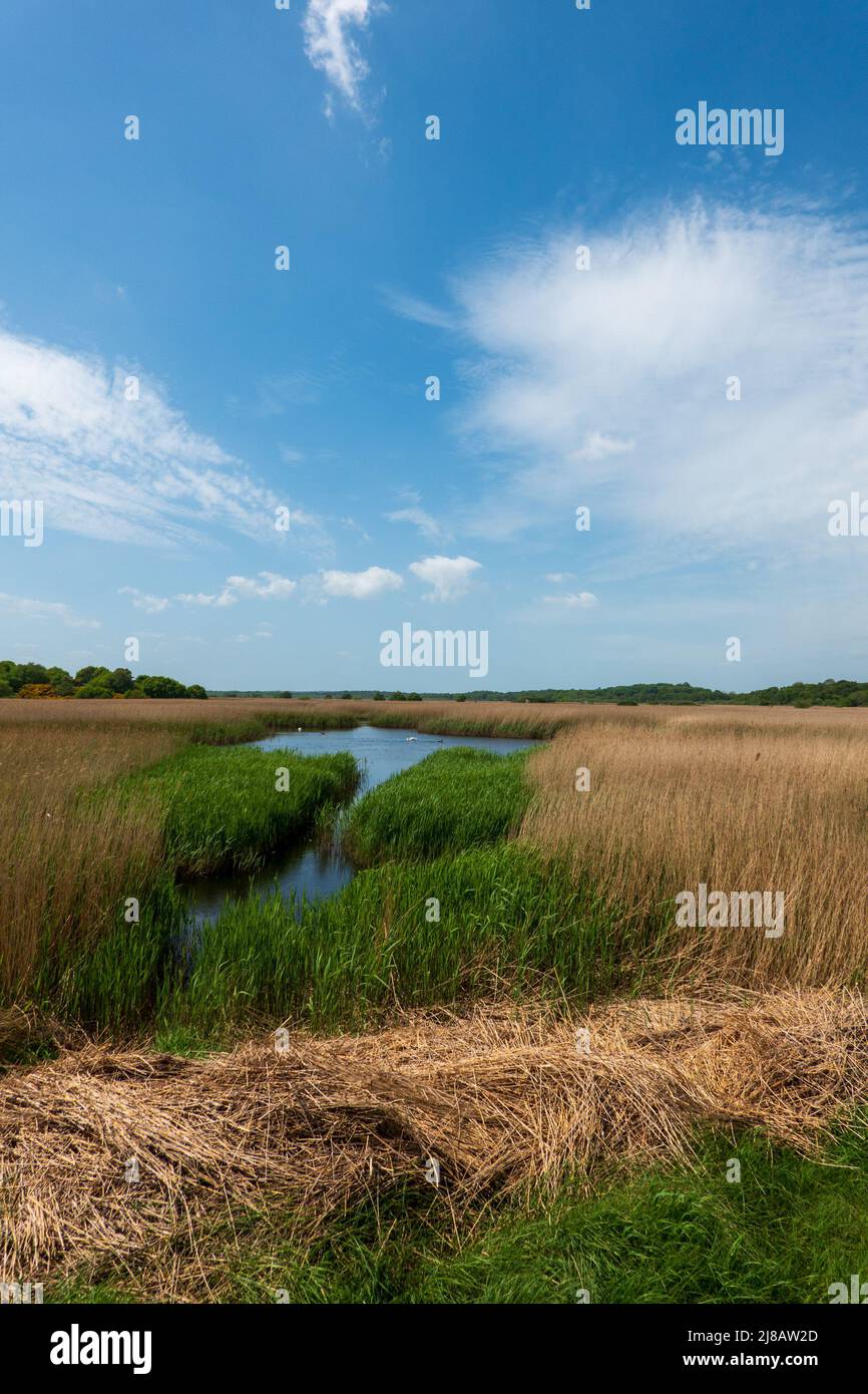 Westwood Marshes, Walberswick Stock Photo - Alamy