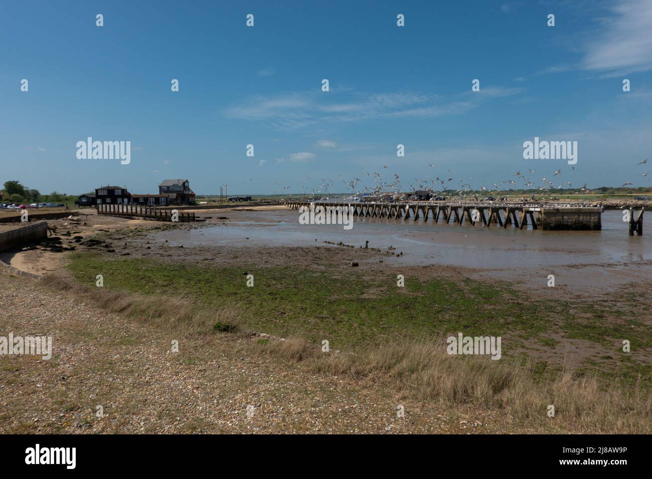 River Blyth, River Mouth, Walberswick Stock Photo - Alamy