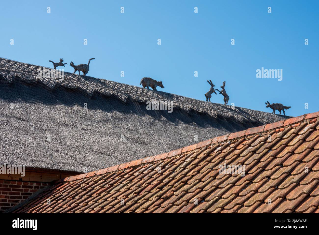 Thatched roof uk ridge hi-res stock photography and images - Alamy