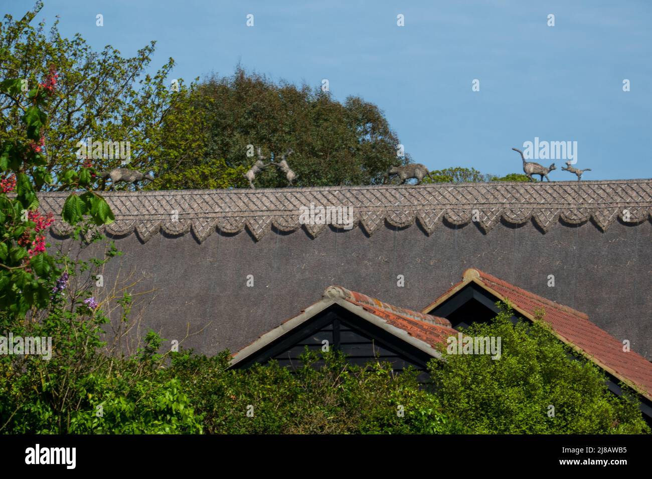 Animals on thatch ridge, Walberswick Stock Photo - Alamy