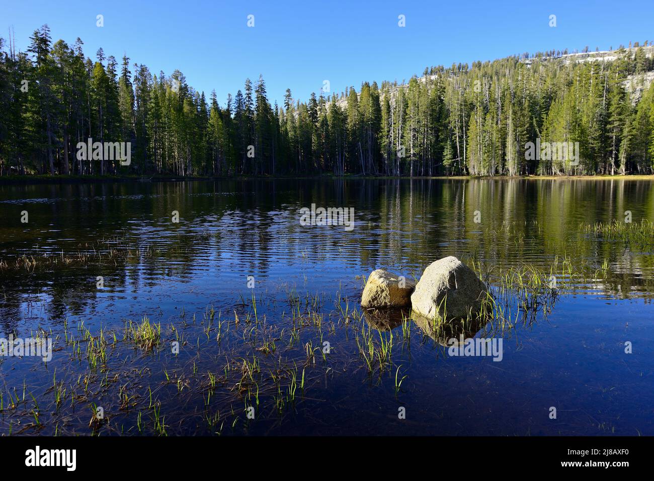 The iconic Yosemite Valley (US National Park), Mariposa CA Stock Photo ...