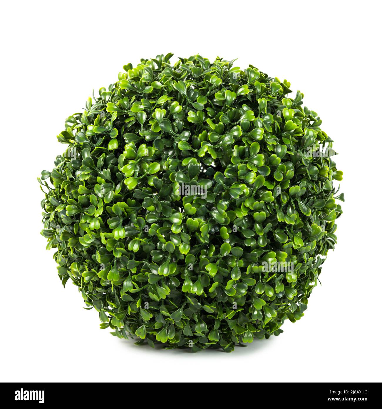 Artificial boxwood ball topiary bush tree like real as modern evergreen ...