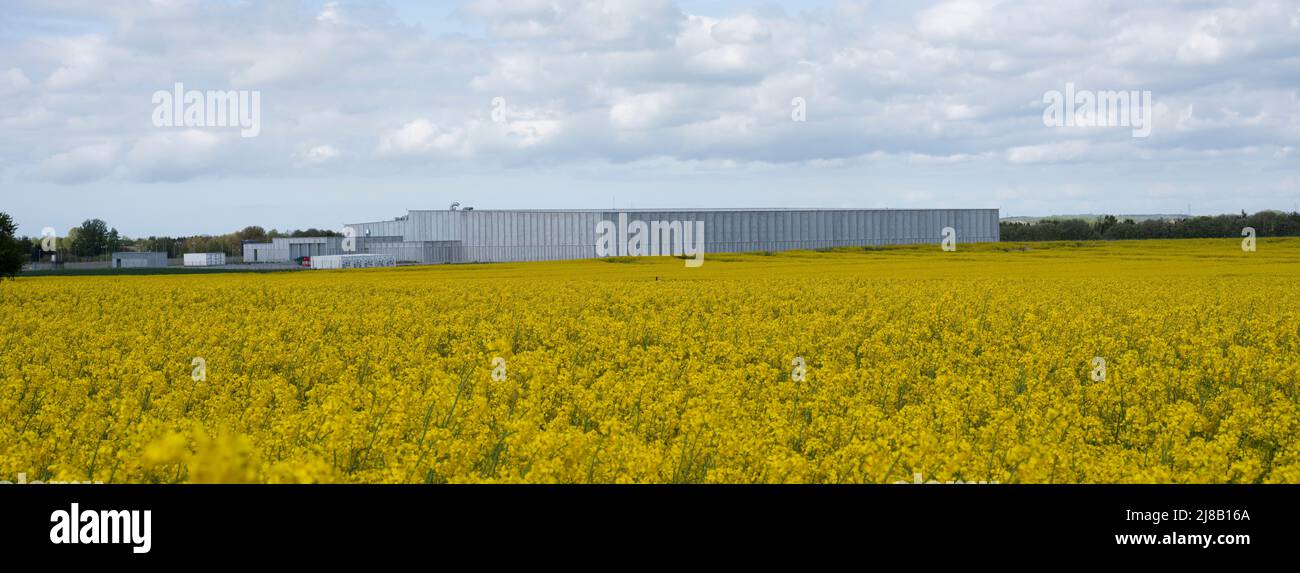 Rapeseed hi-res stock photography and images - Alamy