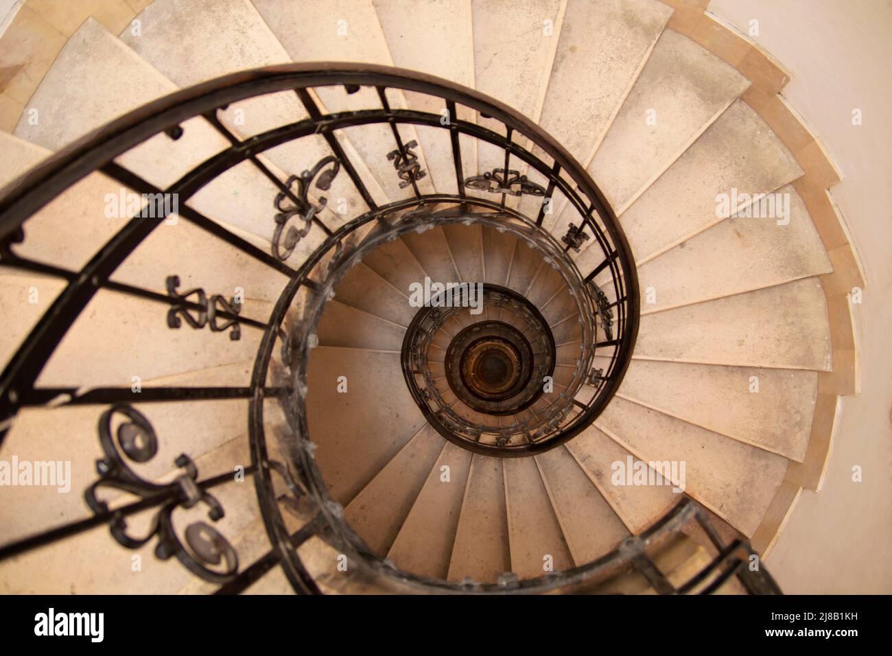 Snail structure spiral snail house hi-res stock photography and images ...