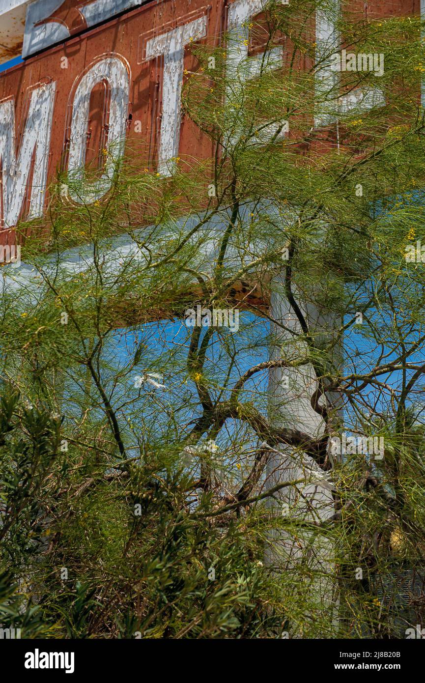 Motel a fine art style image of an overgrown motel billboard in Baker ...