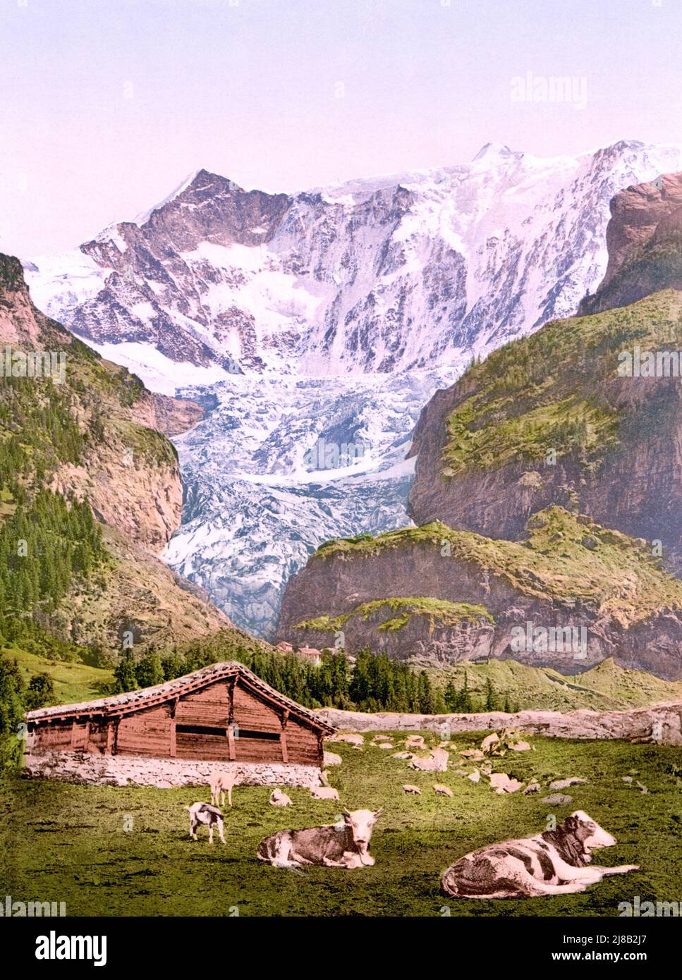 Chalet and Vischerhorn, Grindelwald, Bernese Alps, Bern, Switzerland ...