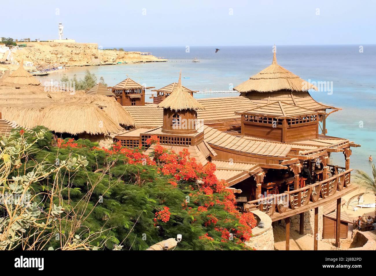 Sharm al sheikh diving hi-res stock photography and images - Alamy