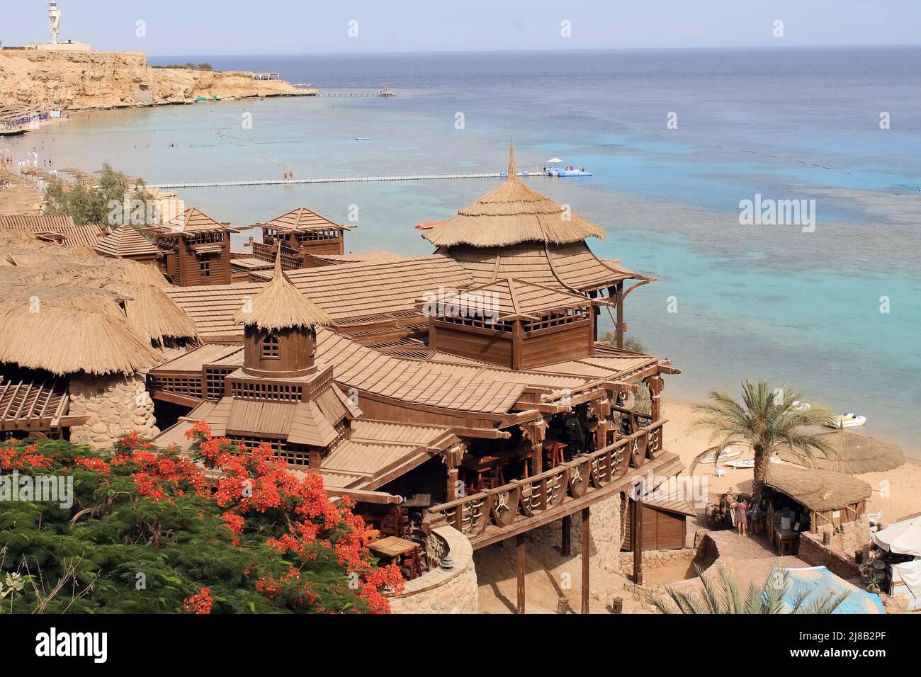 Sharm al sheikh diving hi-res stock photography and images - Alamy