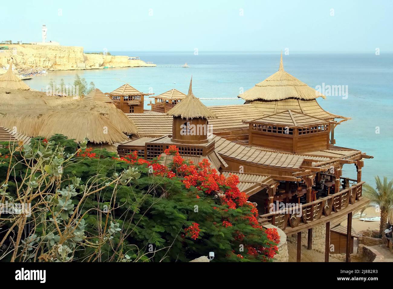 Sharm al sheikh diving hi-res stock photography and images - Alamy