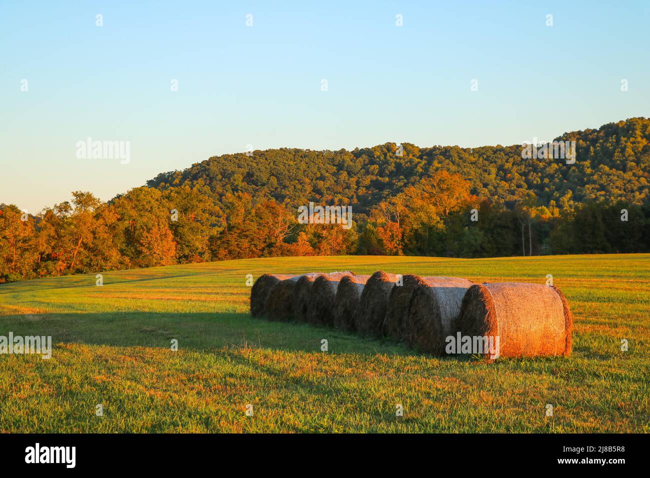 Hay bales autumn leaves hi-res stock photography and images - Alamy