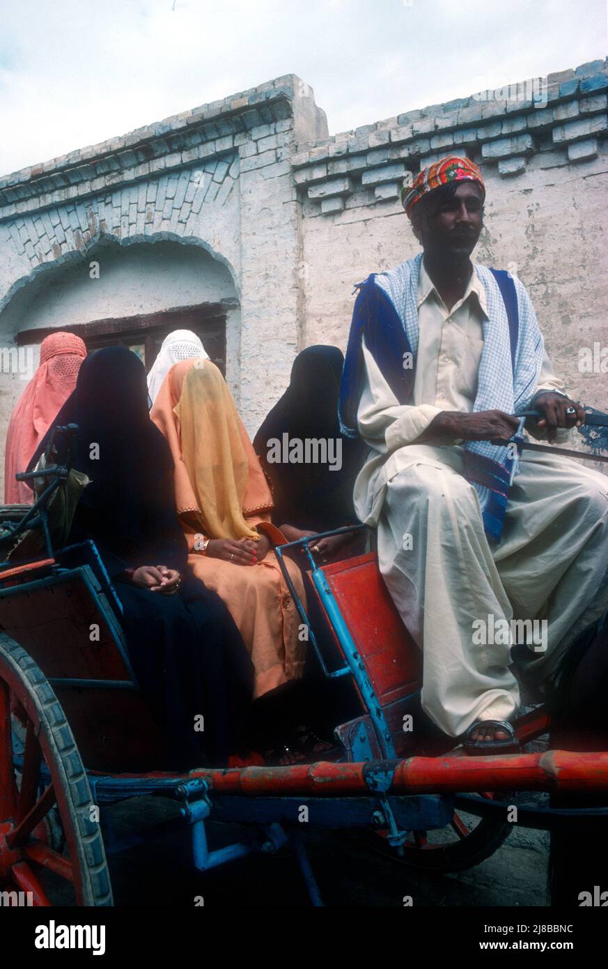 Tonga ride for ladies in Dera Ismail Khan, NW Pakistan Stock Photo - Alamy
