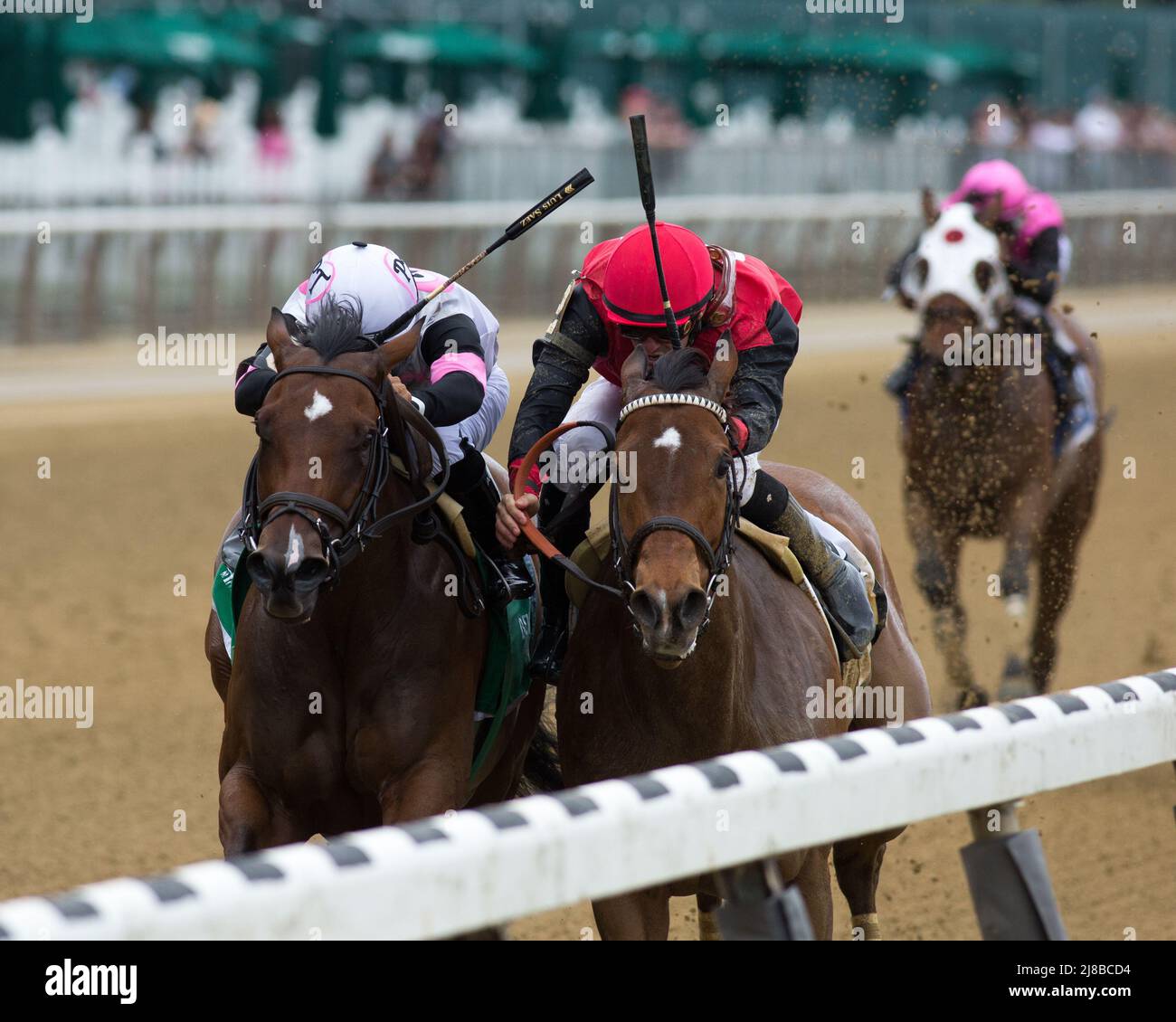 May 14, 2022, Elmont, New York, USA: May 14, 2022: Bella Sofia #5 ...