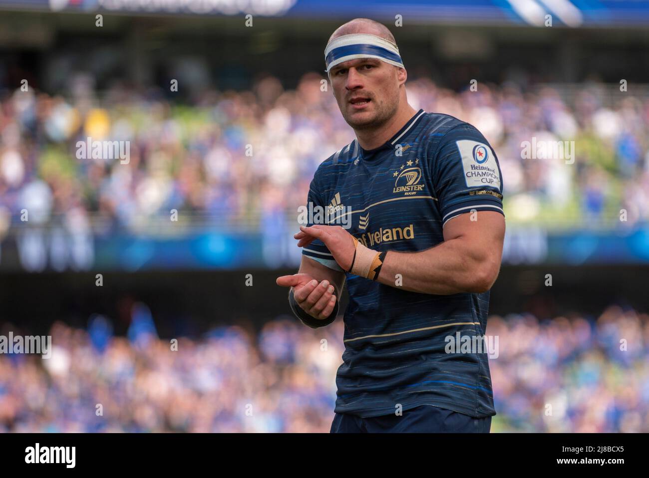 Rhys ruddock leinster 2022 hi-res stock photography and images - Alamy