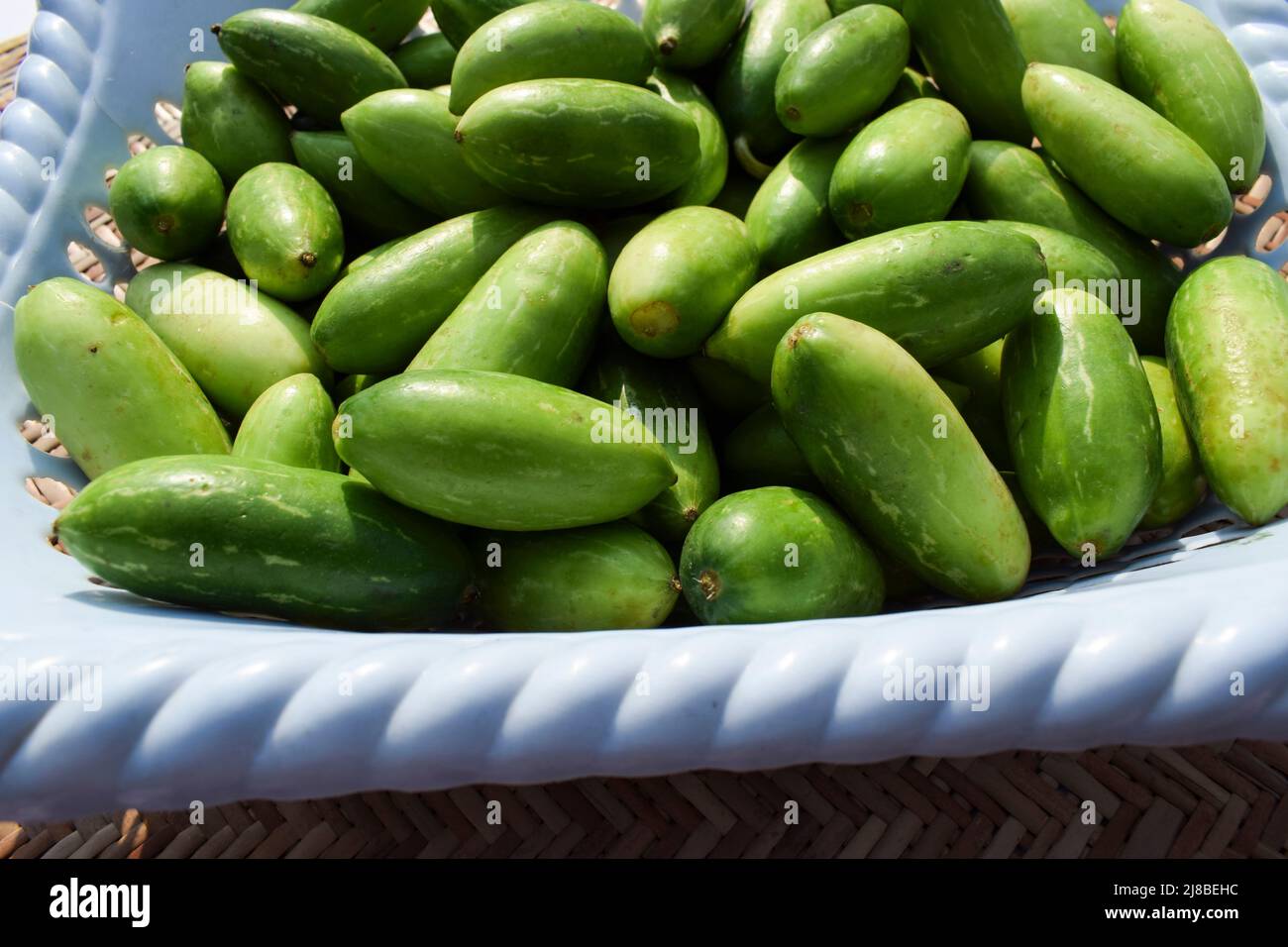 Big size Ivy gourds in basket. Green vegetables authentic India grown ...