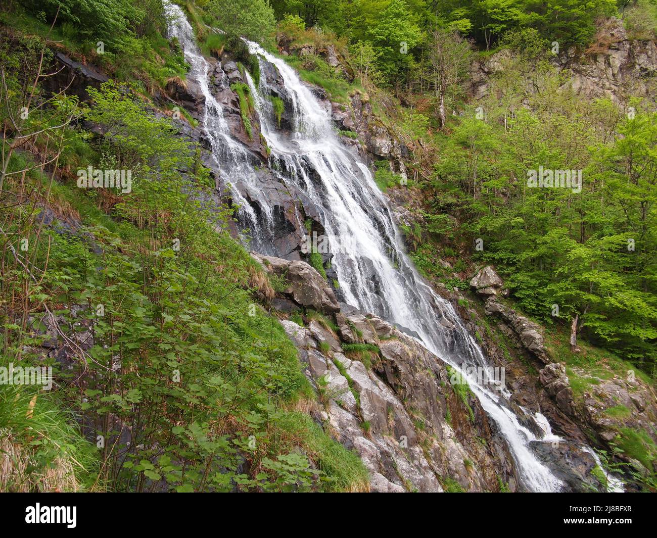 Todtnau waterfall - Black Forest Biosphere Reserve (Landkreis Lörrach ...