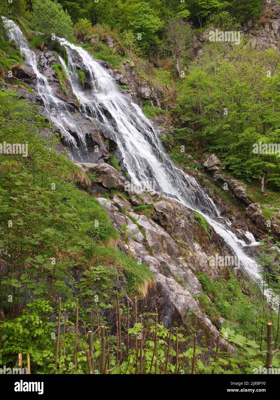 Todtnau waterfall - Black Forest Biosphere Reserve (Landkreis Lörrach ...