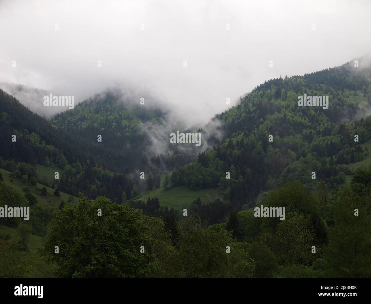 Protected reserve forest hi-res stock photography and images - Alamy