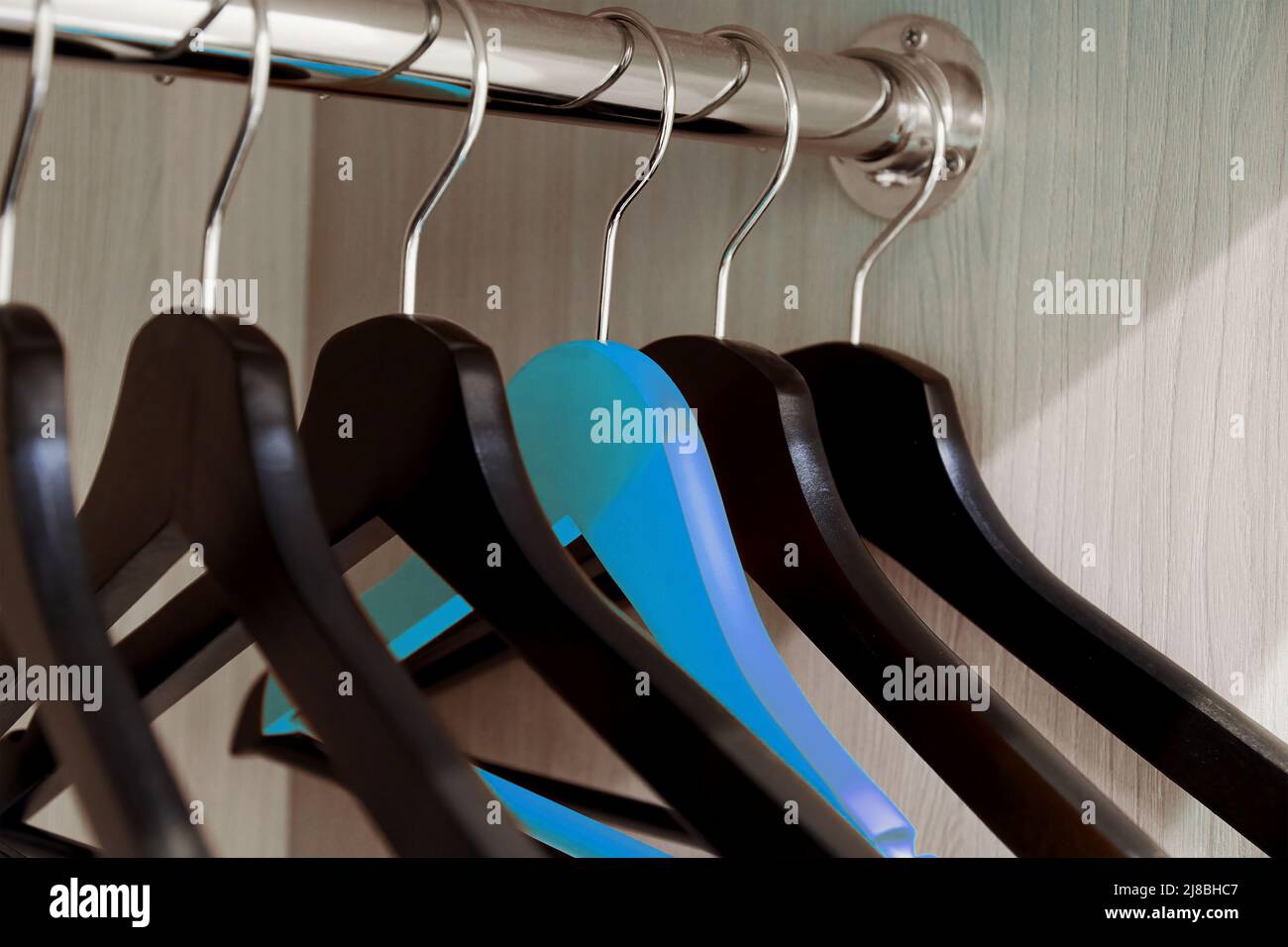 Lonely blue hanger between black wooden hangers. Interior concepts ...
