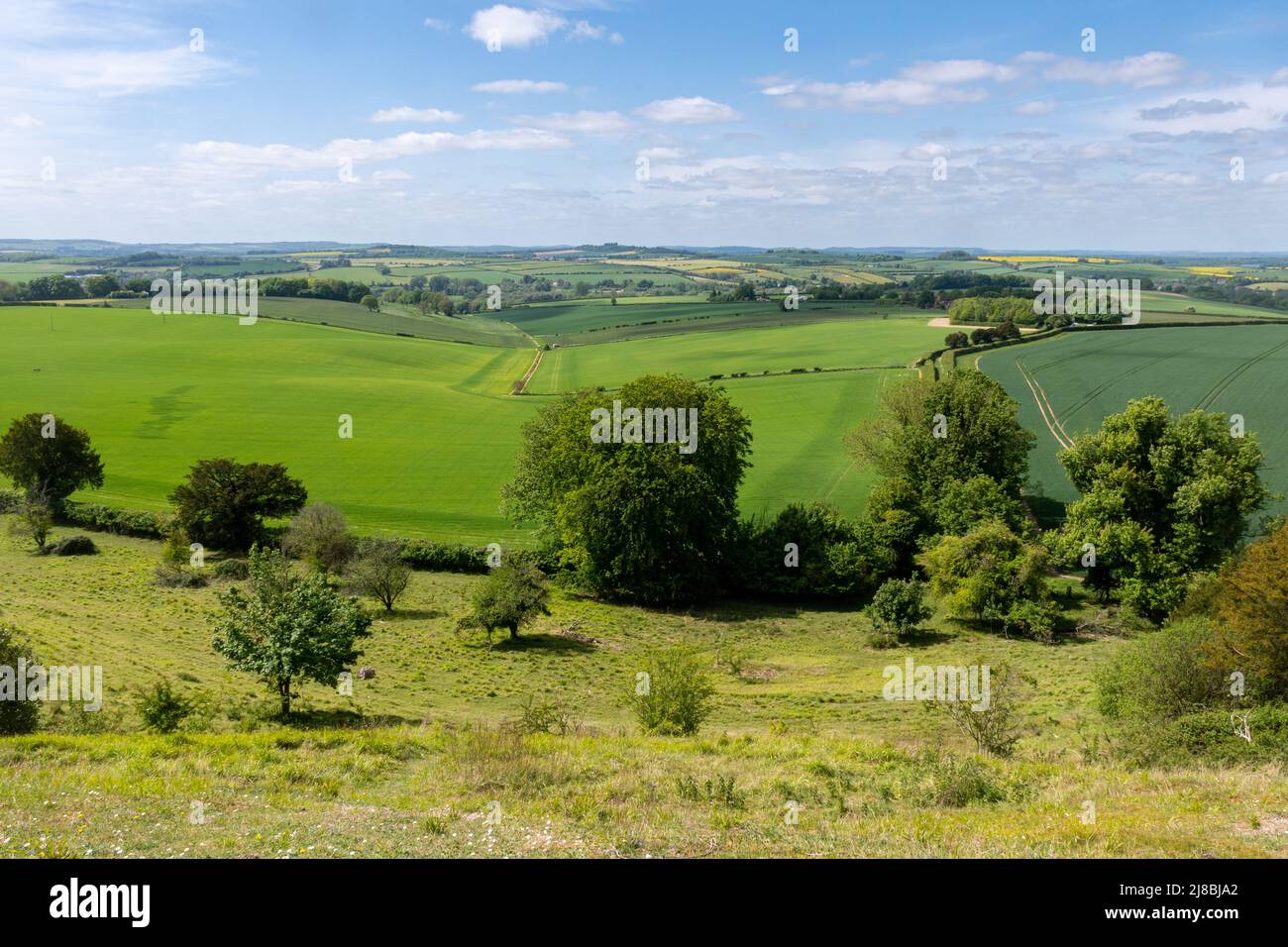 Hampshire landscape hi-res stock photography and images - Alamy