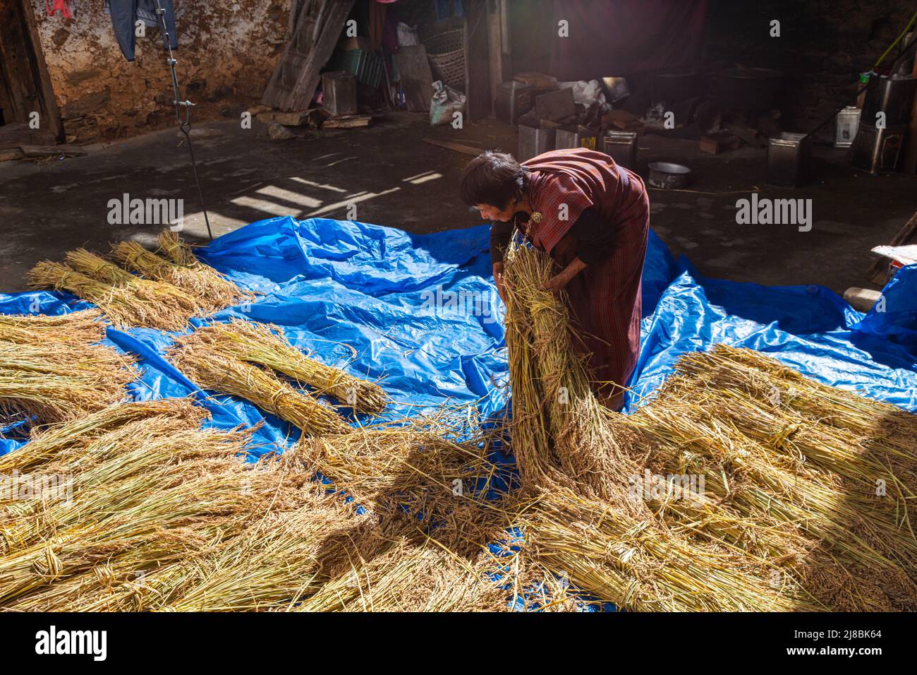 Bhutanese farmer hi-res stock photography and images - Alamy