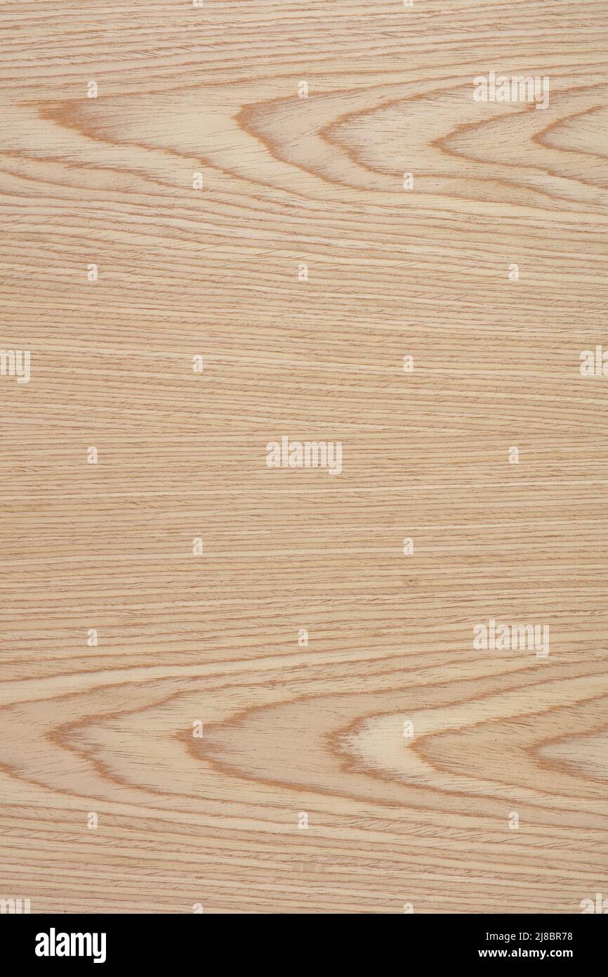 Oak Flamed veneer texture, light background for your personal classic ...