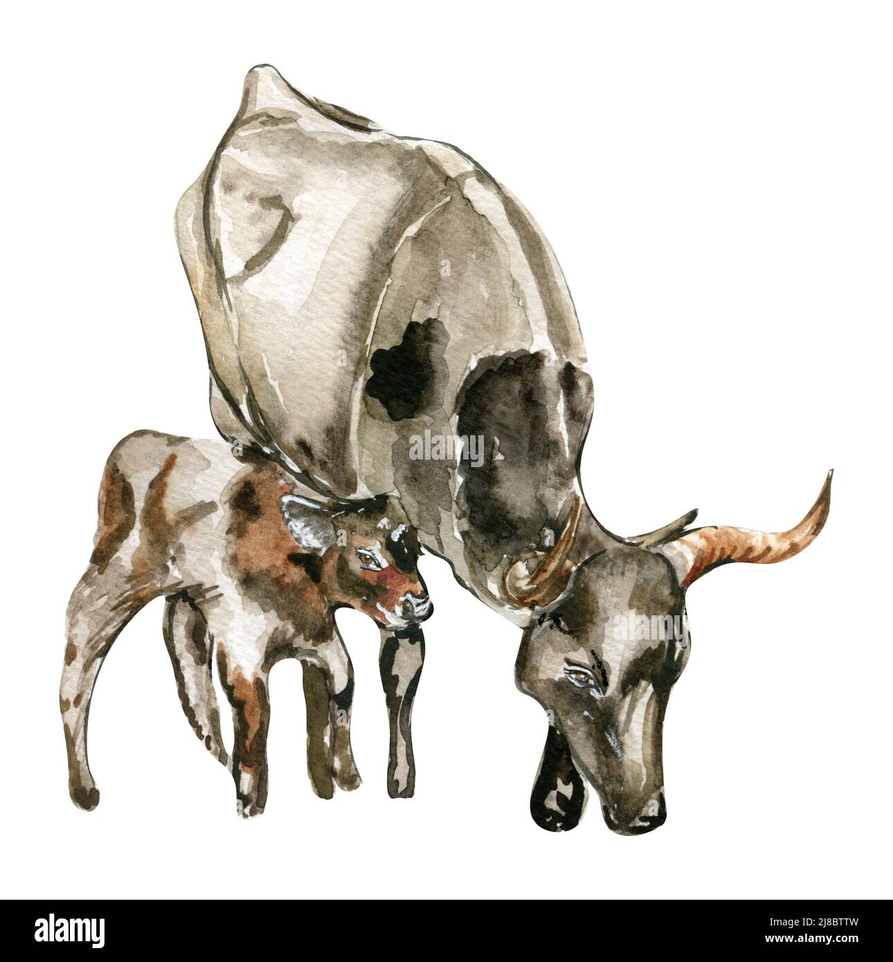 Mummy bear Cut Out Stock Images & Pictures - Alamy