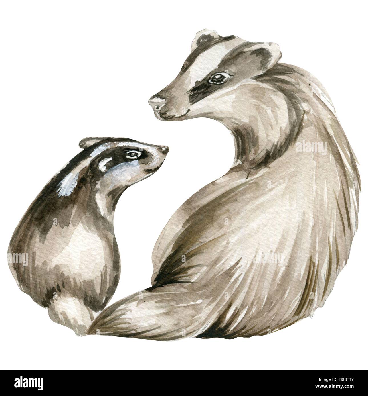 Mummy duck hi-res stock photography and images - Alamy