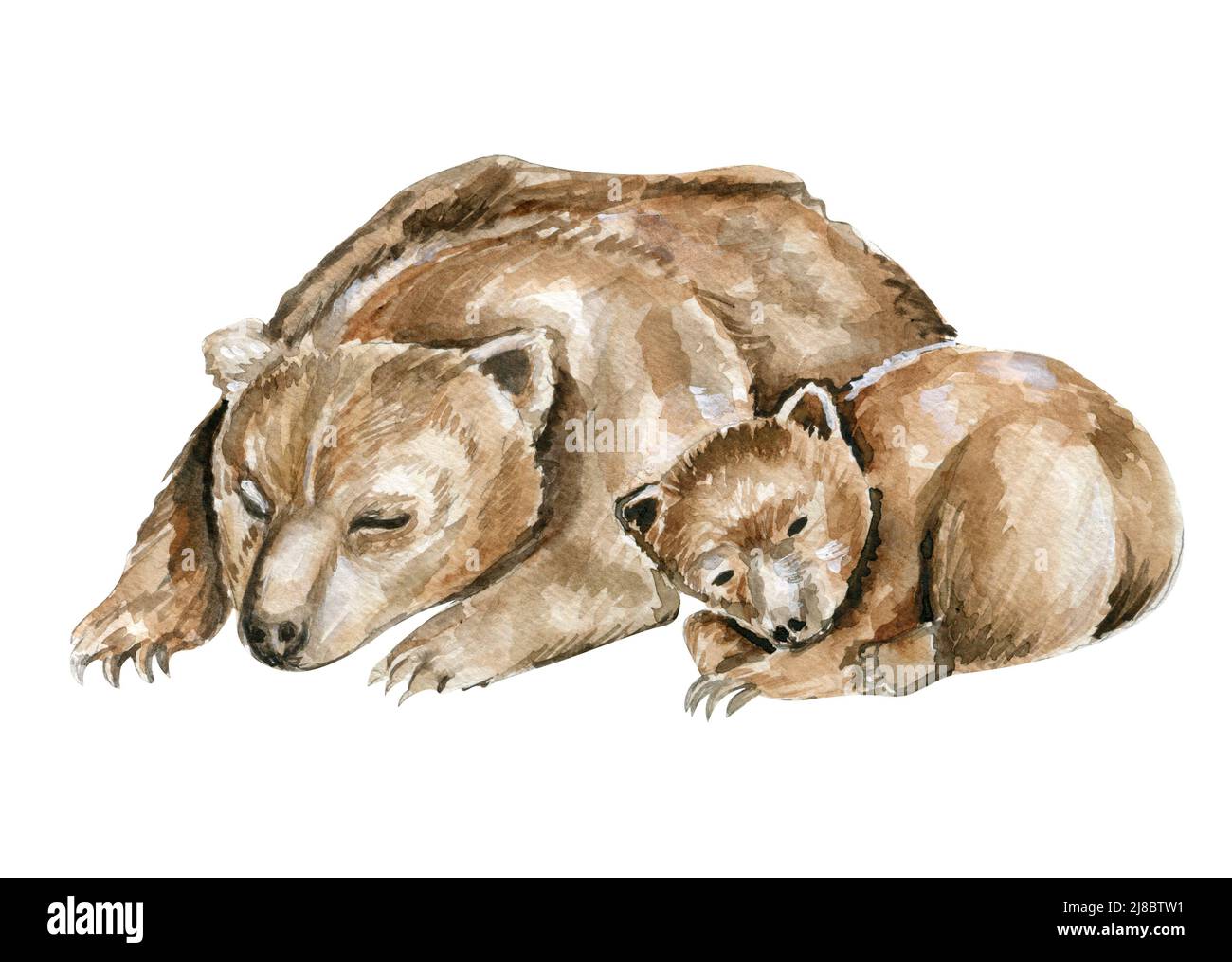 Mummy bear Cut Out Stock Images & Pictures - Alamy